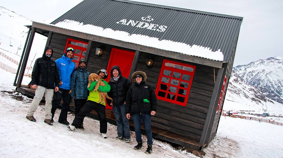 image579a1ec4edfa42-50775830 – ALICE & COW.